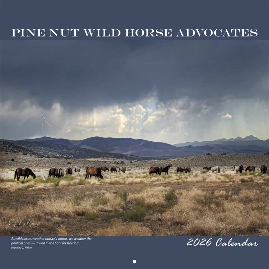 Pine Nut Wild Horse Advocates 2026 Calendar - Yearbox Calendars