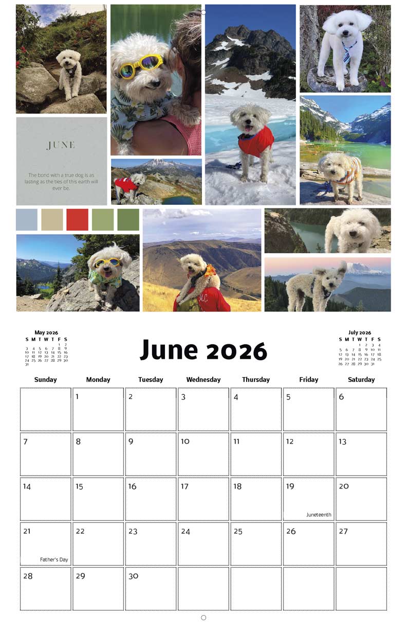Largent the Adventure Dog 2026 Calendar - Yearbox Calendars