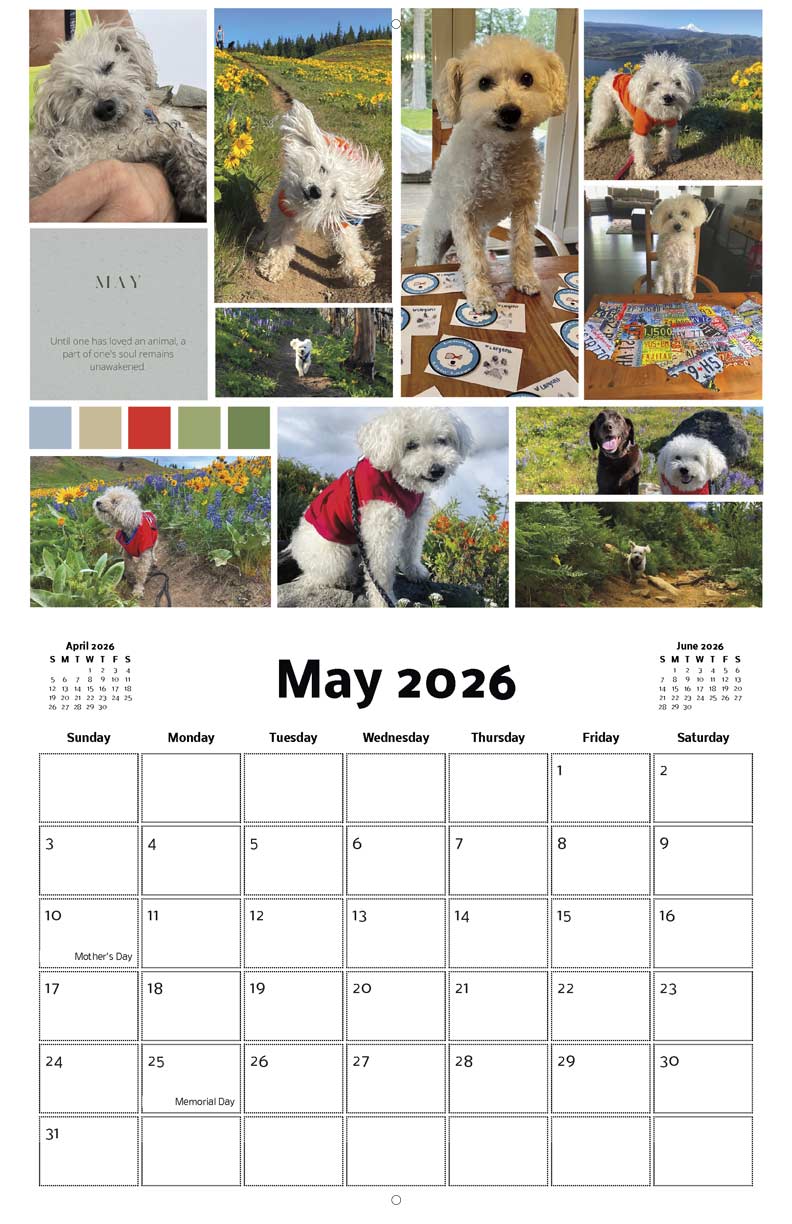 Largent the Adventure Dog 2026 Calendar - Yearbox Calendars