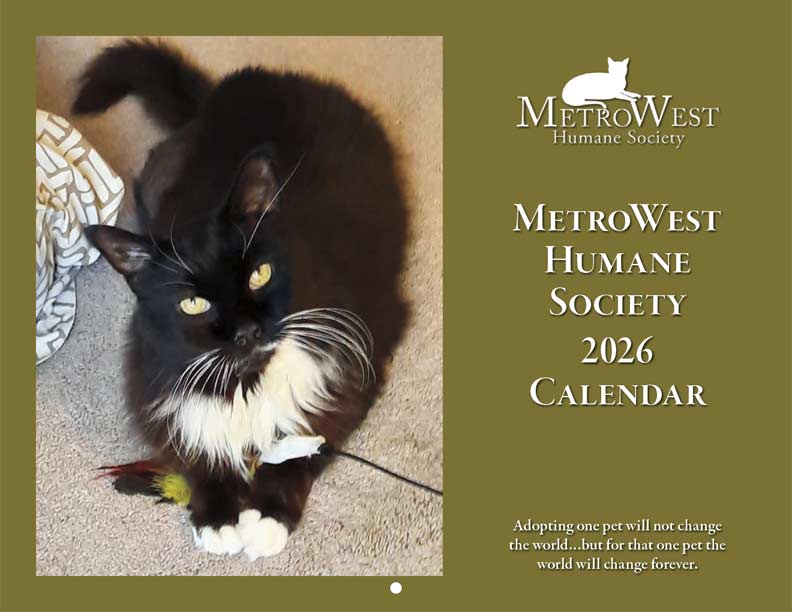 MetroWest Humane Society 2026 Calendar - Yearbox Calendars